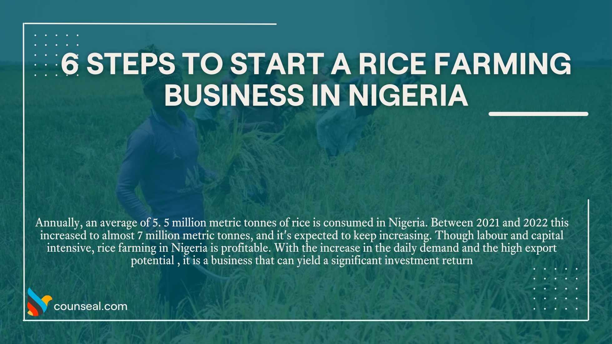 Rice Farming In Nigeria: A Step-by-Step Guide