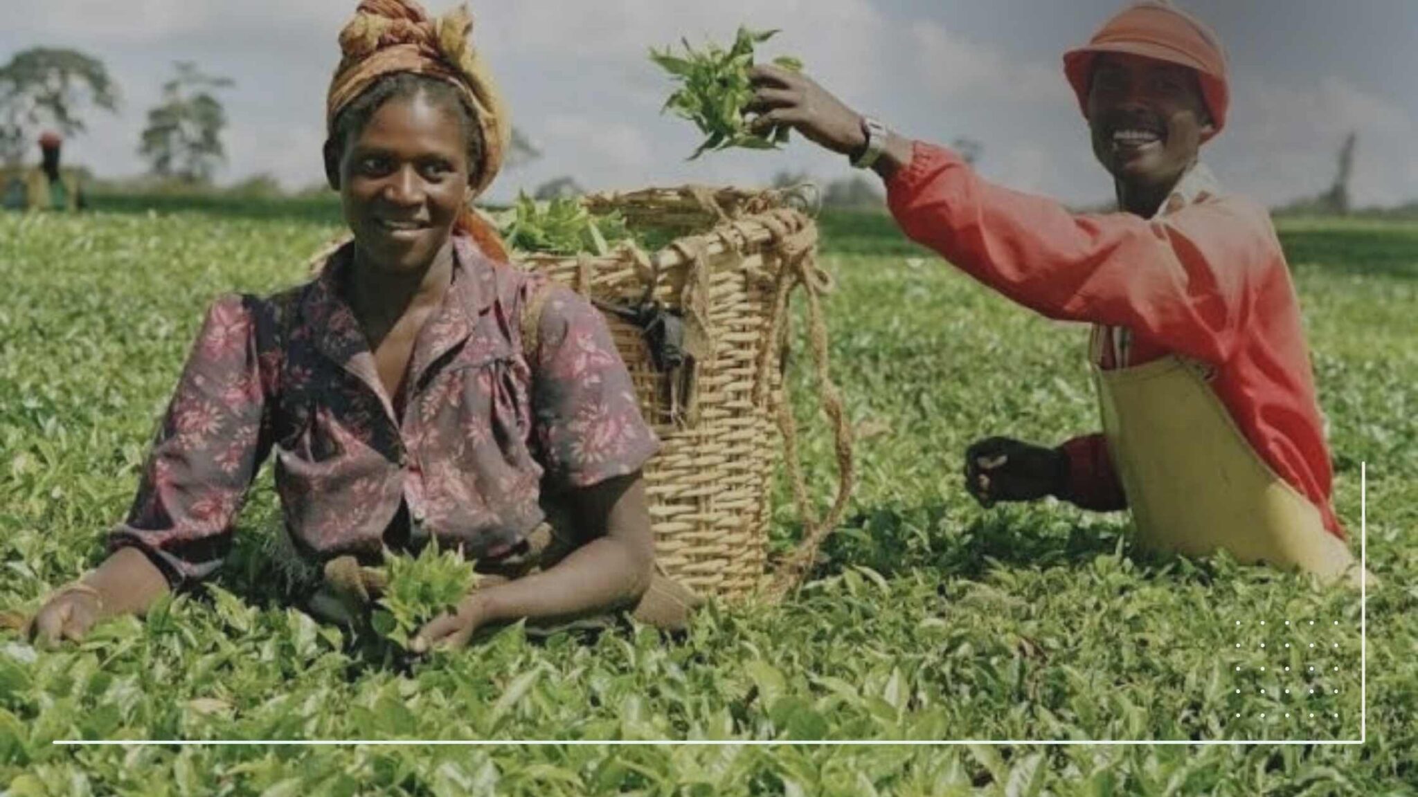 Withholding Tax Rates In Nigeria: A Practical Guide